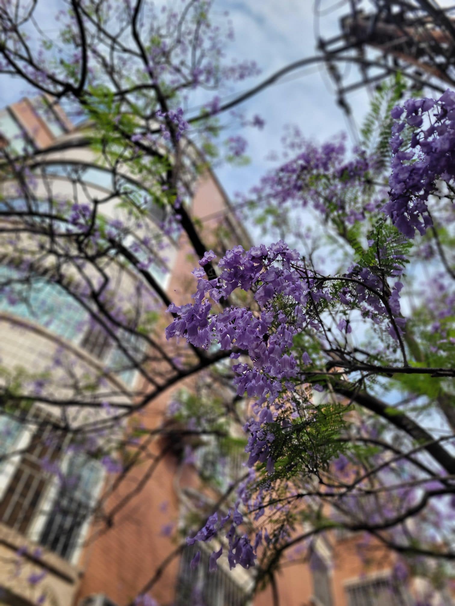 The Essential Kunming Travel Guide: Yunnan's Spring City Gateway ...